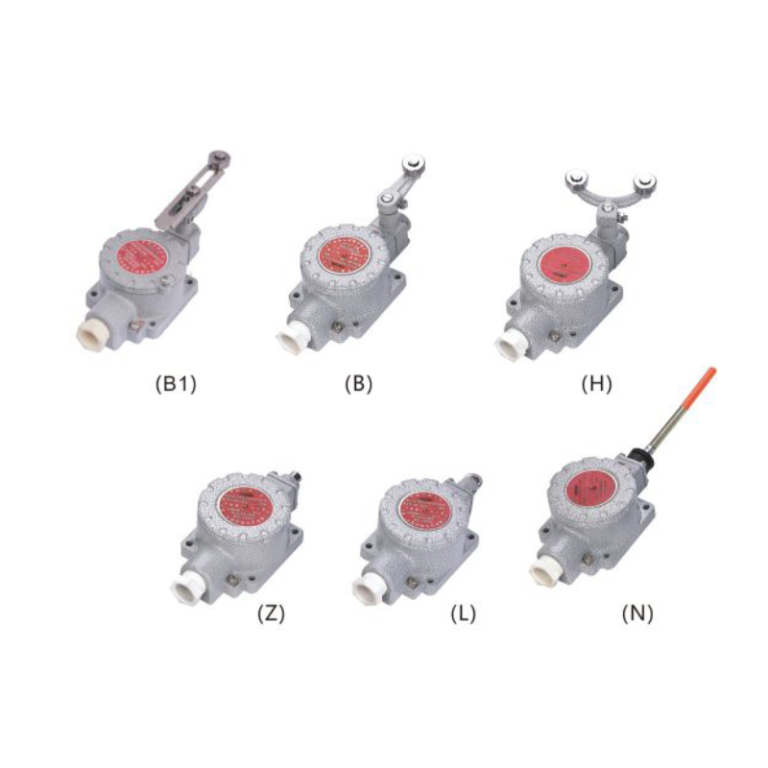 Helon DLXK Limit Switch Explosion Proof - Helon Indonesia